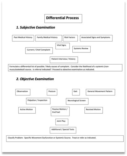 Ortho 1 Exam 2 Common Shoulder Pathologies Flashcards Quizlet