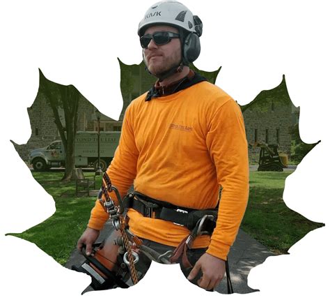 What Causes Rust Spots On Leaves Beyond The Leaf Tree And Shrub Experts