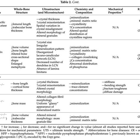 Characterization Of Bone Structure And Chemistry From The Nanoscale