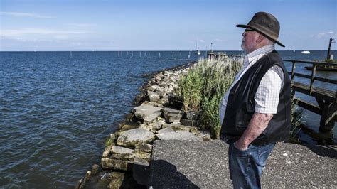 Hidde Stierf Vorig Jaar Door Toedoen Van Fonteinkruid Op Het Markermeer Je Kan Geen