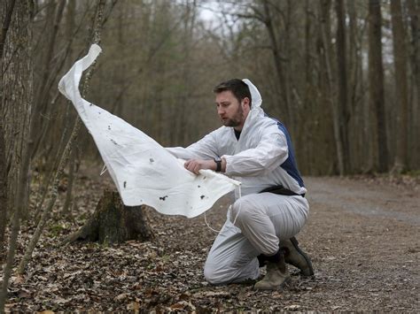 Kingston Researchers Use Genetic Sequencing To Monitor Tick Borne