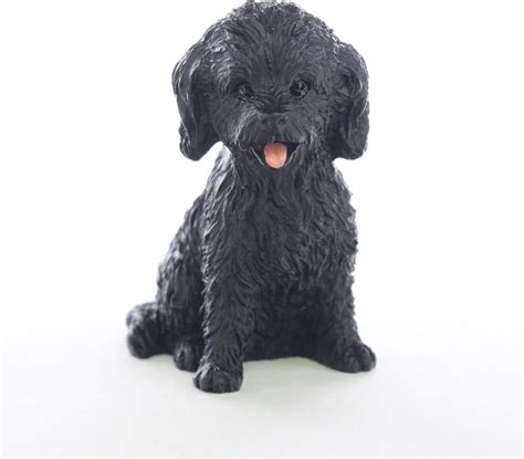 Conversation Concepts Miniature Cockapoo Black Tiny One