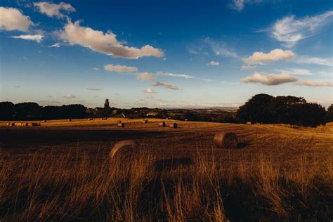 Free Images Sea Coast Horizon Fog Sunrise Mist Hay Bale Field