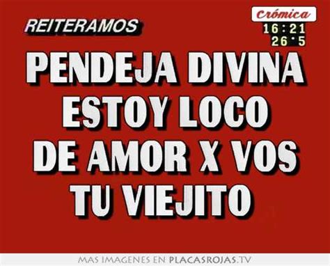 Pendeja Divina Estoy Loco De Amor X Vos Tu Viejito Placas Rojas TV