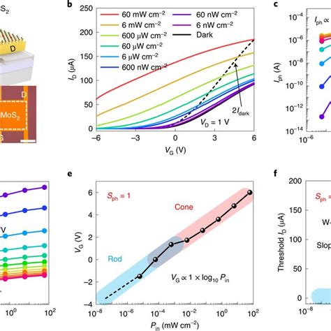Bioinspired In Sensor Visual Adaptation For Accurate Perception