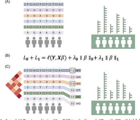 Figure 1 From Optimal Variable Identification For Accurate Detection Of Causal Expression