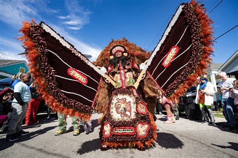 Photos Mardi Gras Indians Unveil Their 2024 Suits On The Streets Of