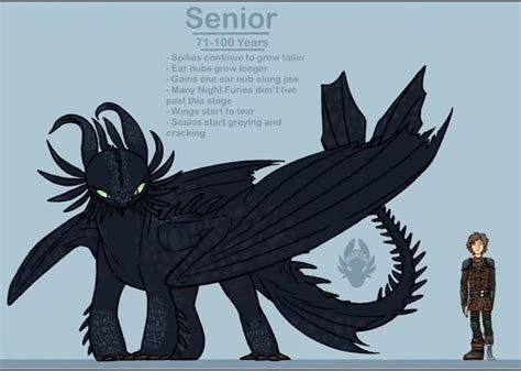 Discover 21 Toothless Anatomy And Httyd Art Ideas On This Pinterest