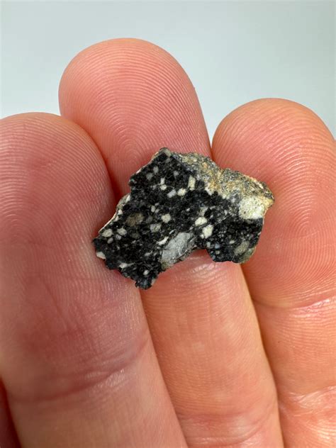 Nwa 14685 Lunar Fragmental Breccia A Chunk Of Our Moon 10g The