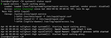 Instructions For Installing Squid Proxy Datacloudvn