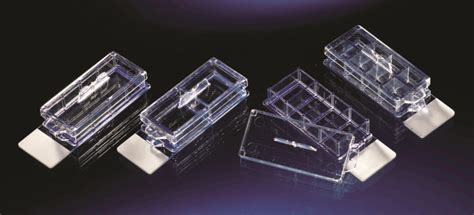 Microscope Slide Lab Tek™ Chamber Slide™ System Ps Häberle