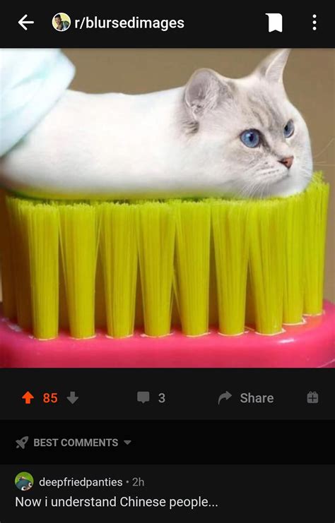 Cursedtoothpaste Rcursedcomments