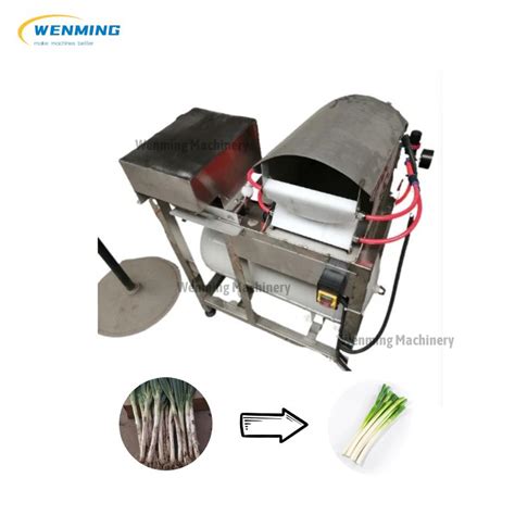 Automatic Root Cutting Machine Vegetable Processing Machine For Sale C Wm Machinery Automatic Root Cutting Machine Vegetable Processing Machine For Sale C Wm Machinery