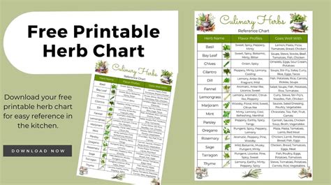 Your Essential Printable Herb Chart An Easy Guide Herb Garden Life