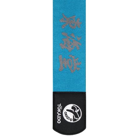 Tokaido Schienbein Schutz Karate Blau