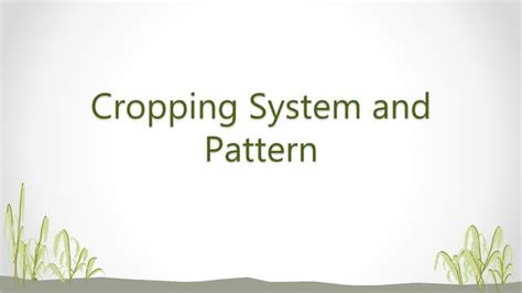 Multiple Cropping Systems Pptx