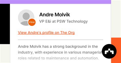 Andre Molvik Vp Eandi At Psw Technology The Org