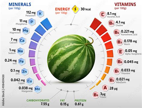 Vitamins And Minerals Of Watermelon Fruit Infographics About Nutrients
