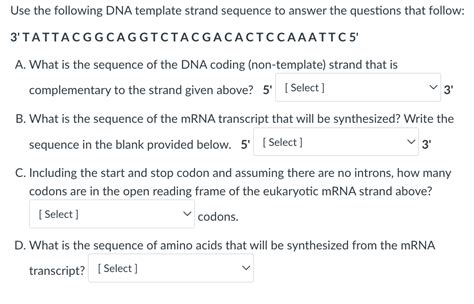 Solved Use The Following Dna Template Strand Sequence To
