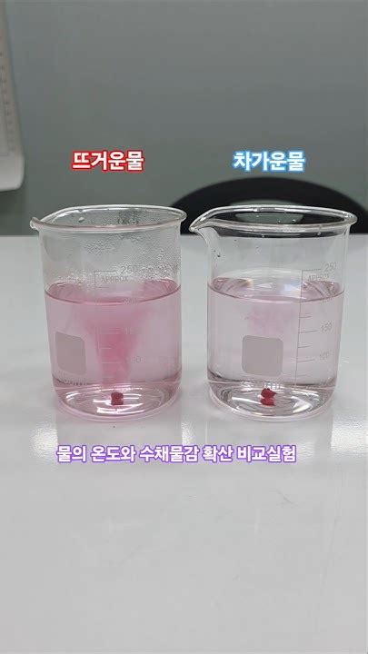 물의 온도와 수채물감 확산 비교실험 Youtube
