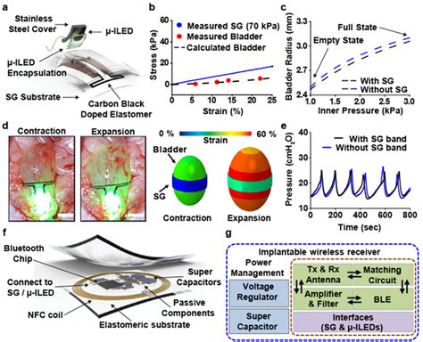 A Wireless Closed Loop System For Optogenetic Peripheral