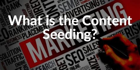 Content Seeding Definition And Importance For Marketing Holistic Seo