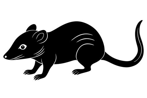 Premium Vector Shorttailed Shrew Vector Illustration