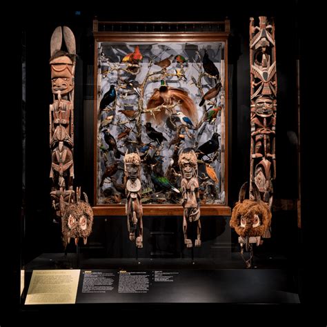 Australian Museum 200 Treasures Exhibit Westpac Long Gallery Sydney