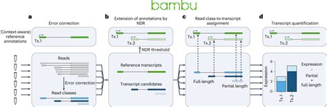 bambu enables simultaneous transcript discovery and quantification from