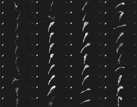 Glue Brush Pack For Procreate Etsy Glue Brush Pack For Procreate Etsy