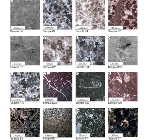 Scanning Electron Microscopy And Thin Section Photomicrographs Of