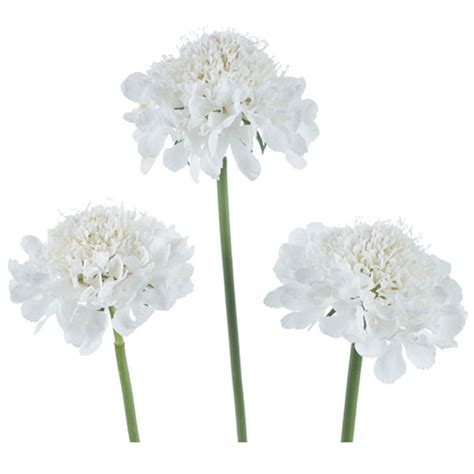 X J R I T F X N [ V ~ L [3 3 5 B G