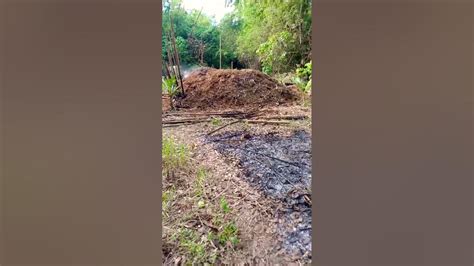 Uling Uling Shorts Youtube