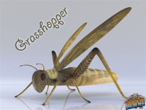 Grasshopper Characters Unity Asset Store