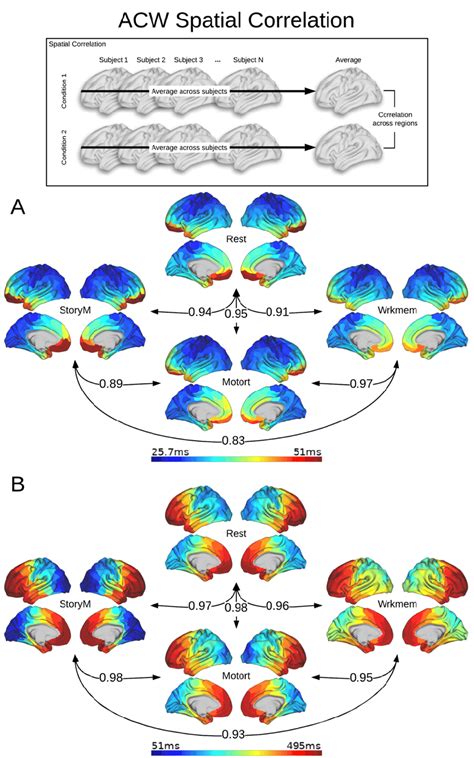 Spatial Correlation Among Conditions The Box Shows How Spatial Download Scientific Diagram