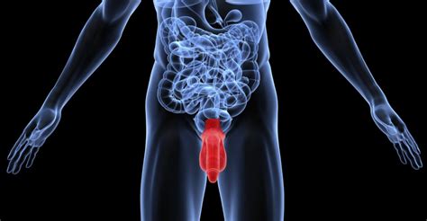 34 Facts About Mackenzie Ziegler