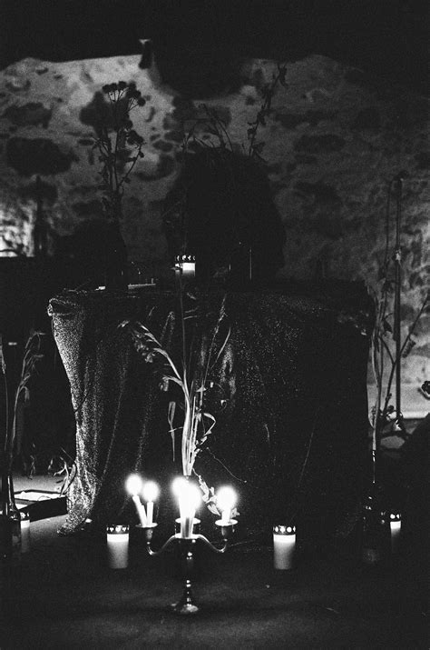 Malassezia Lynkeus Traum