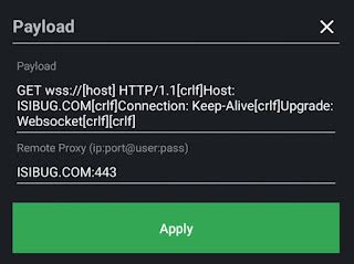 CUSTOM PART WEBSOCKET SSL Ohmyinjector