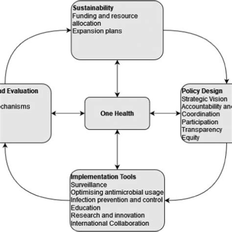 Adapted Antimicrobial Resistance Governance Framework For Evaluating