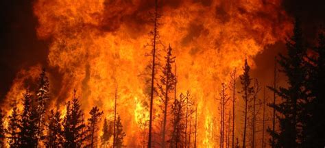 Investigadoras Advierten Por Peligros En La Patagonia “los Pinos