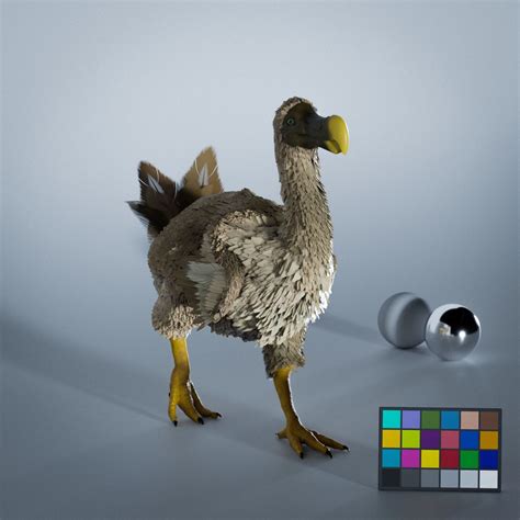 Dodo Animated 3d Model Animated Rigged Cgtrader