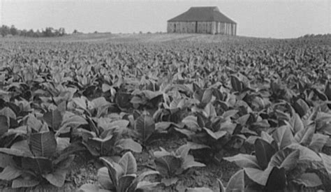 The Origins Of Slavery In Virginia