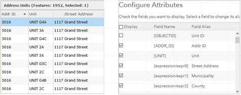 Using Arcgis Arcade To Power Your Pop Ups Part 1 Software Development Company In Nyc