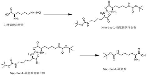 带你了解n E Boc L 赖氨酸的合成