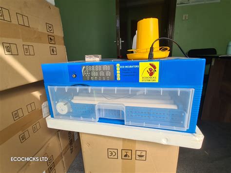 Quail Egg Incubator Ecochicks Poultry Ltd