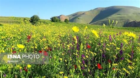 معنای واقعی زندگی روستایی در روستای یاستی‌قلعه ماهنشان عکس