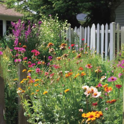 20 Best Bee Garden Ideas For A Thriving Backyard