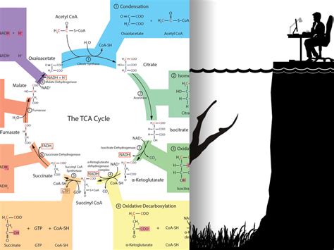 Design And Project Work — Redmoon