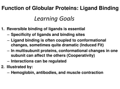 Ppt Protein Function Binding Powerpoint Presentation Free Download