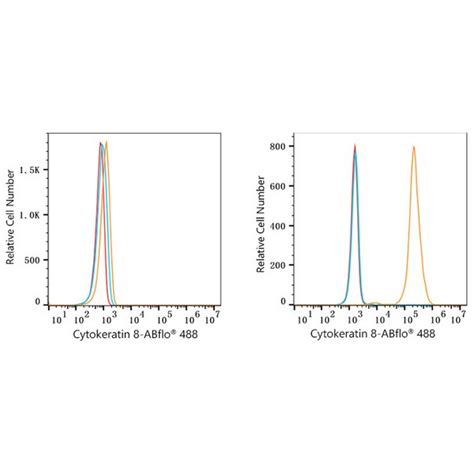 Abflo® 488 Rabbit Anti Human Cytokeratin 8 Mab A23018 Abclonal Ushelf